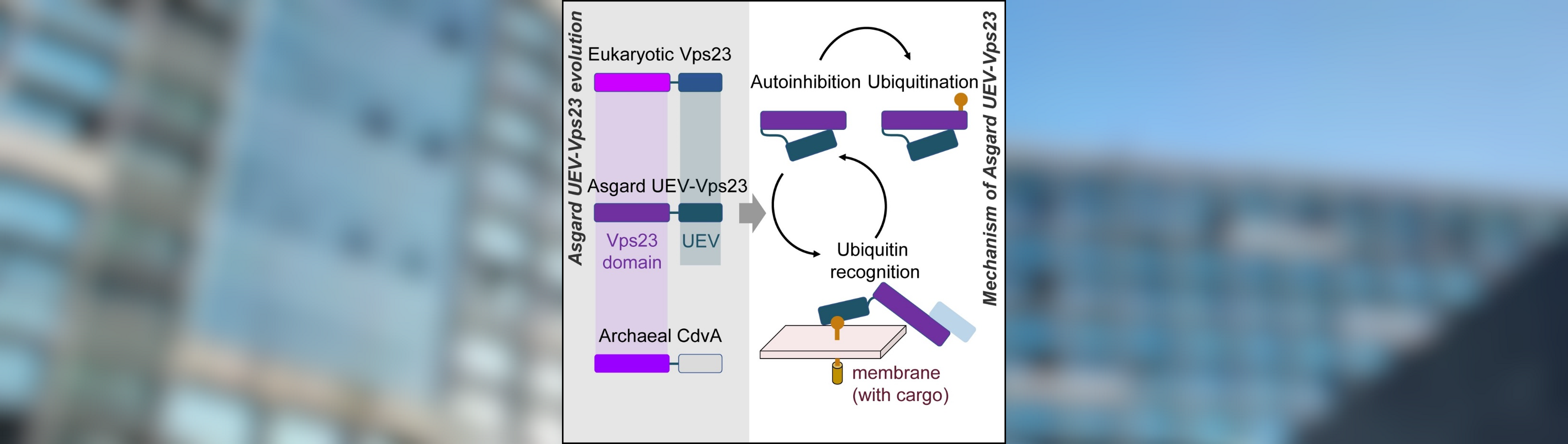 Institute for Advanced Study,Shenzhen University.